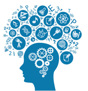 Interdisciplinary Activities - Center for the Neurobiology of Learning ...