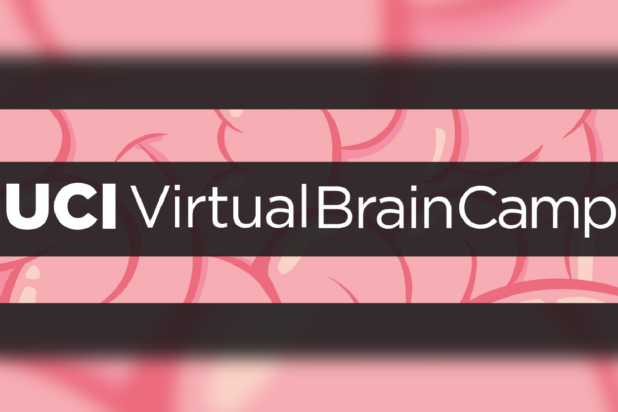 UC Irvine Summer Brain Camp - Registration Now Open! - Center for the ...