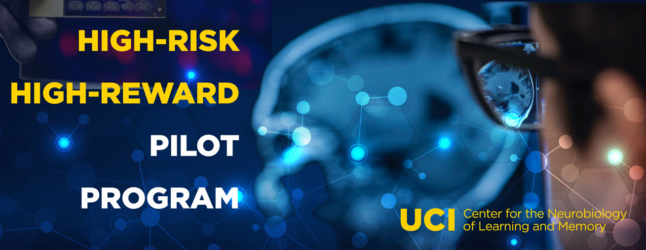 High-Risk, High-Reward Pilot Program - Center for the Neurobiology of ...