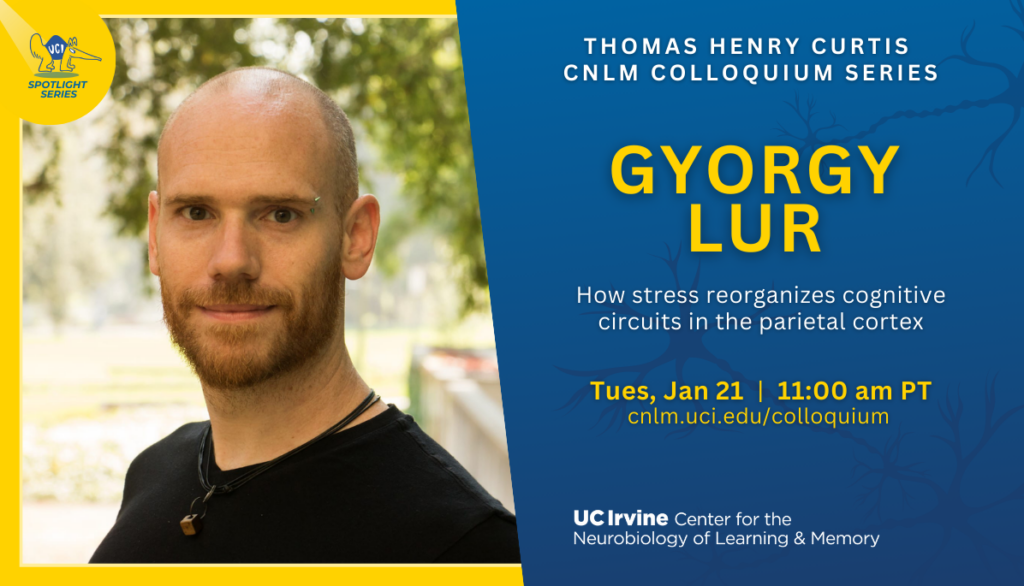 Center for the Neurobiology of Learning and Memory | UCI CNLM