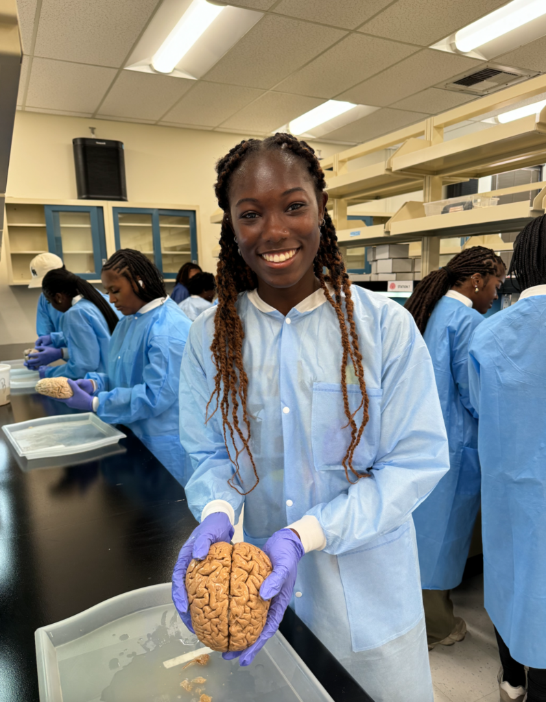 Hoops and Brains: Déja Lee’s Journey as a Basketball Star and Aspiring ...