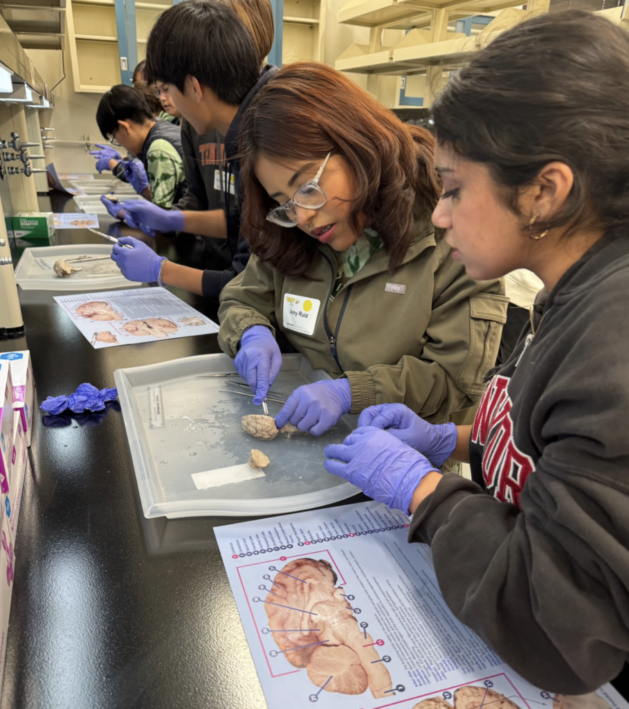 2025 Irvine Brain Bee Inspires the Next Generation of Neuroscientists - Center for the ...